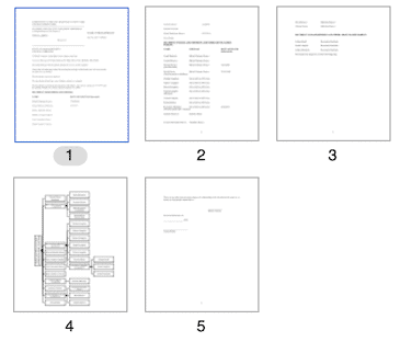 Family Tree Affidavit. What are the Requirements.